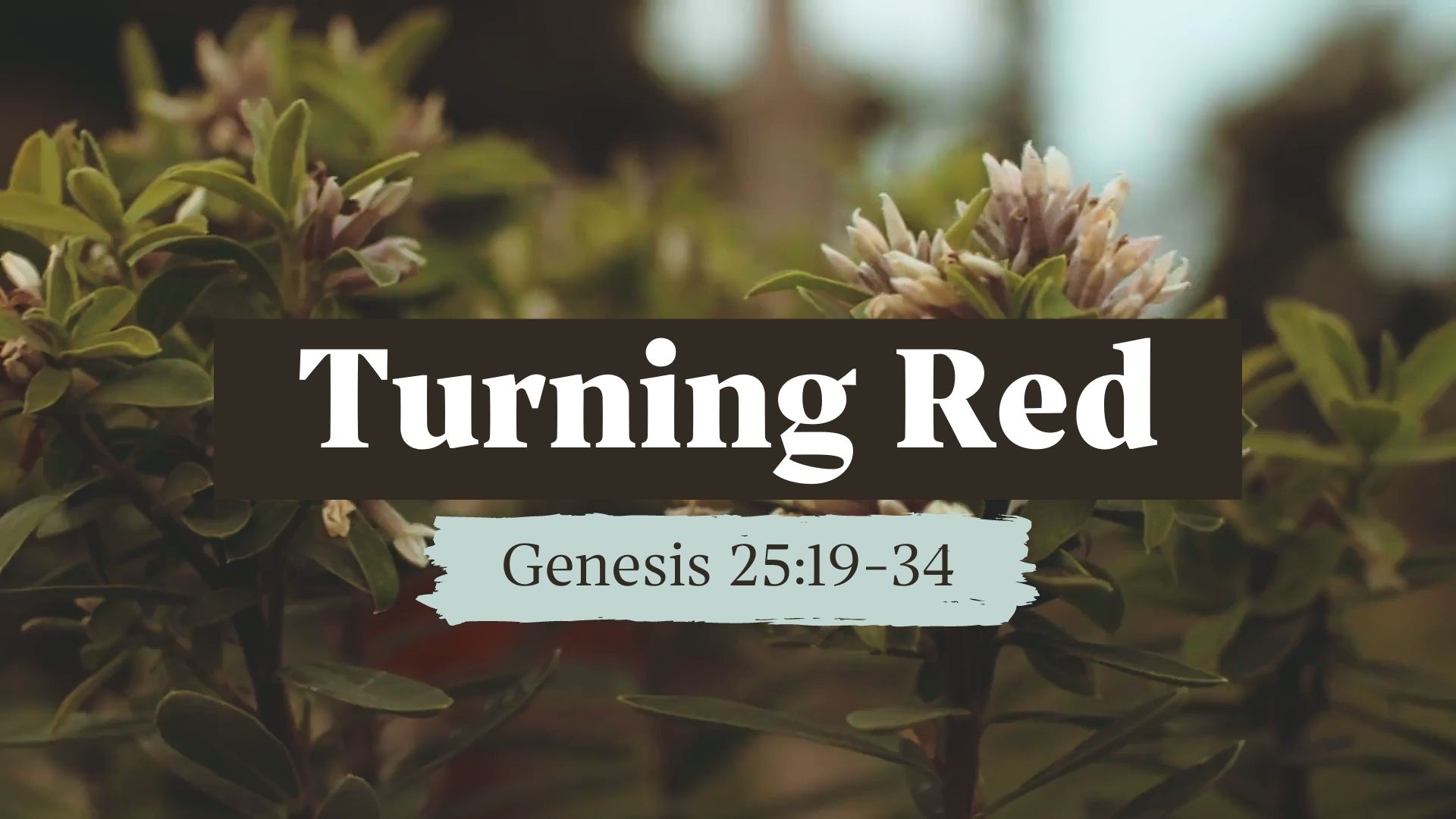 A True Beginning - Turning Red (Genesis 25:19-34)