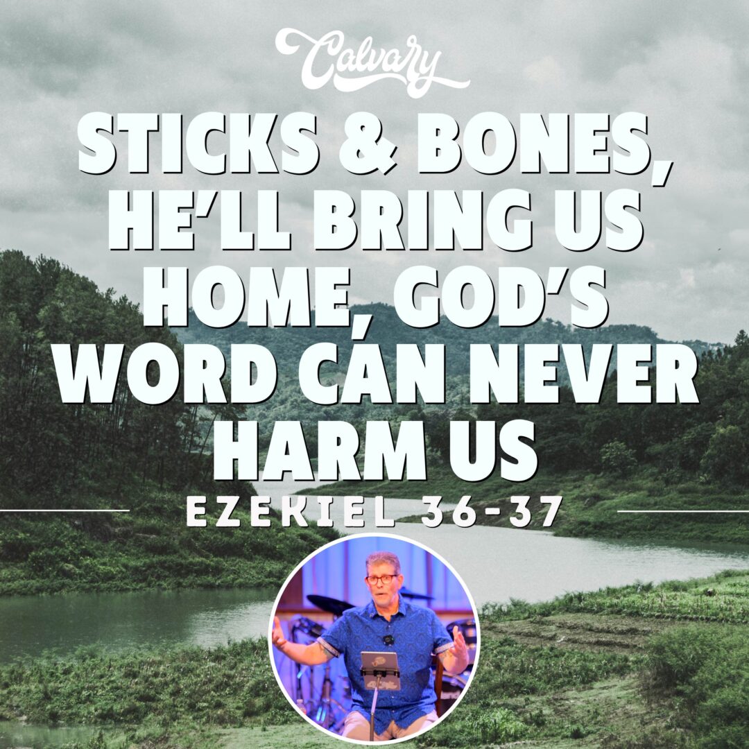 Sticks And Bones, He'll Lead Us Home (Ezekiel 36-37)